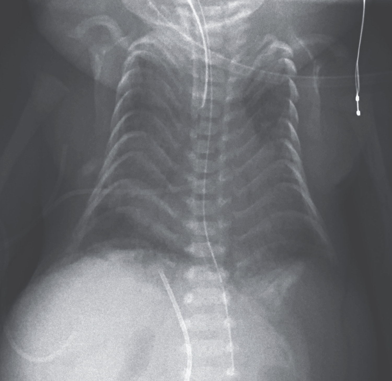 Image Challenge | The New England Journal of Medicine