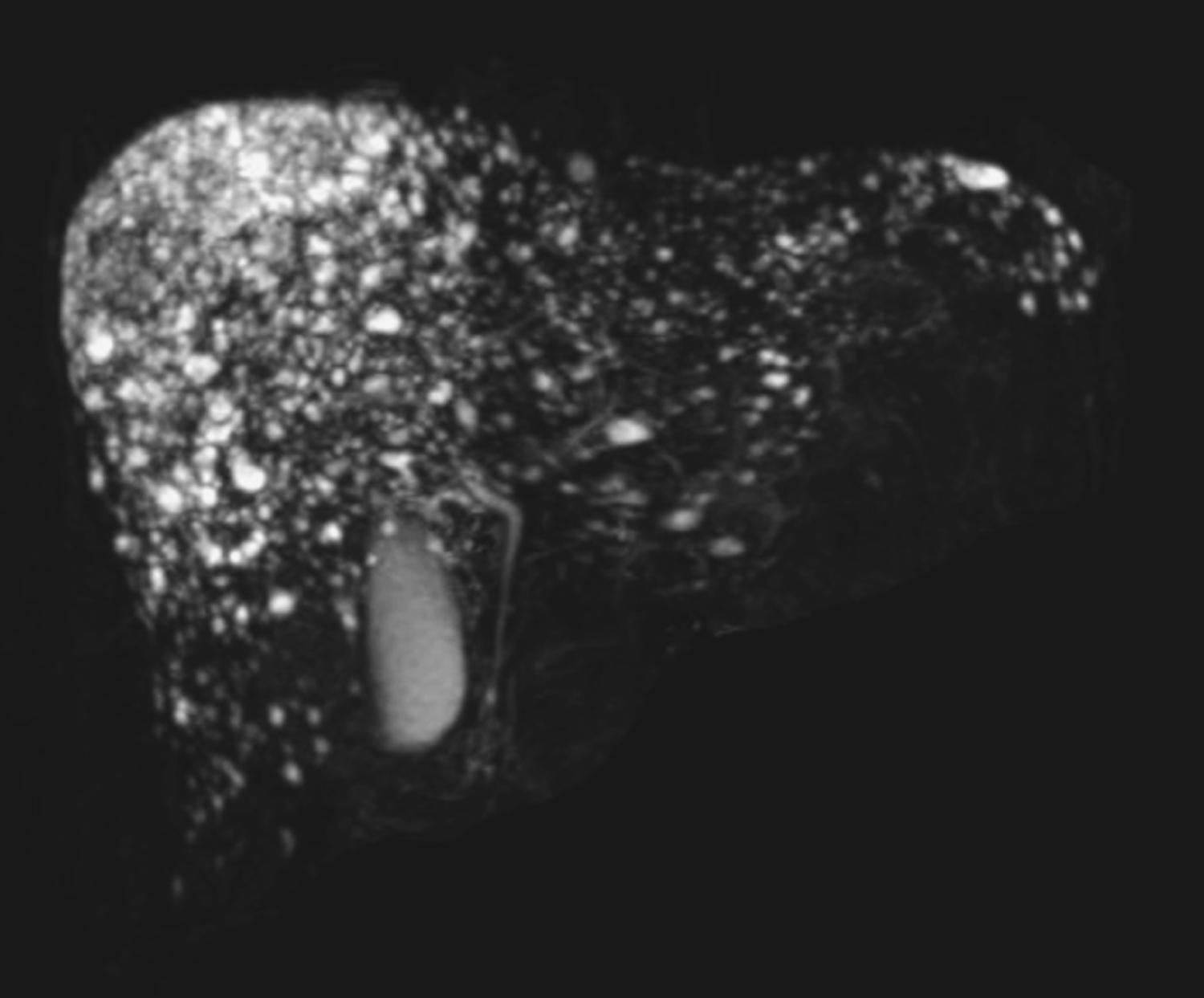 Image Challenge | The New England Journal of Medicine