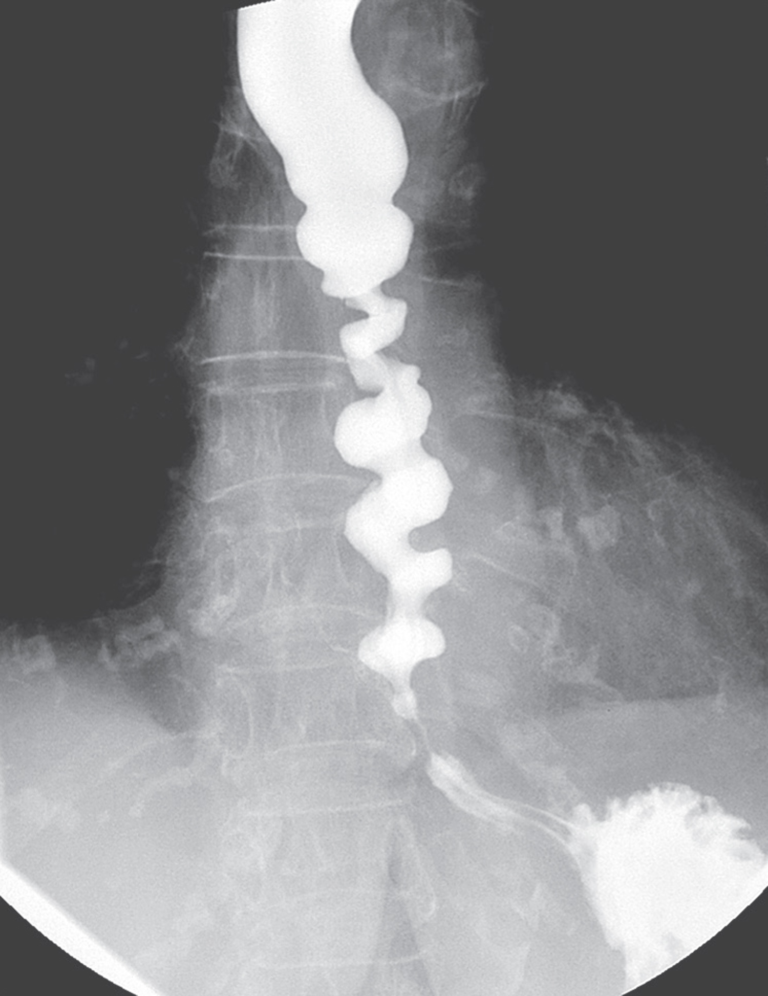 Image Challenge | The New England Journal of Medicine