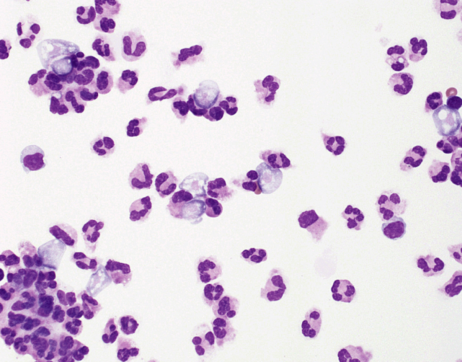 Image Challenge | The New England Journal of Medicine