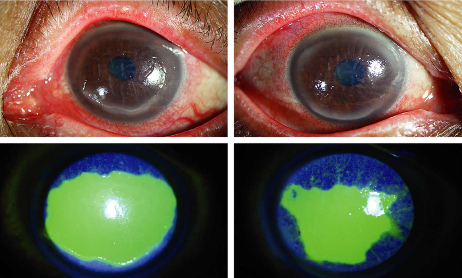 Image Challenge | The New England Journal of Medicine