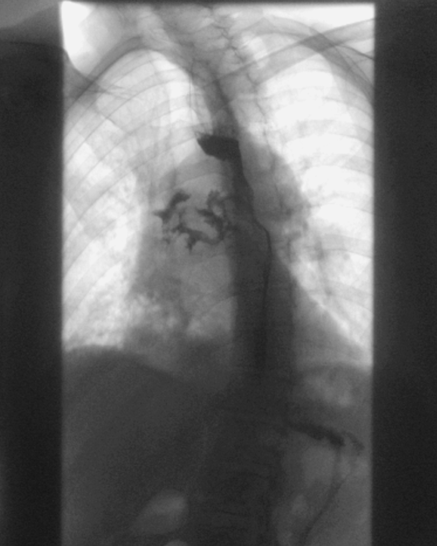 Image Challenge | The New England Journal of Medicine