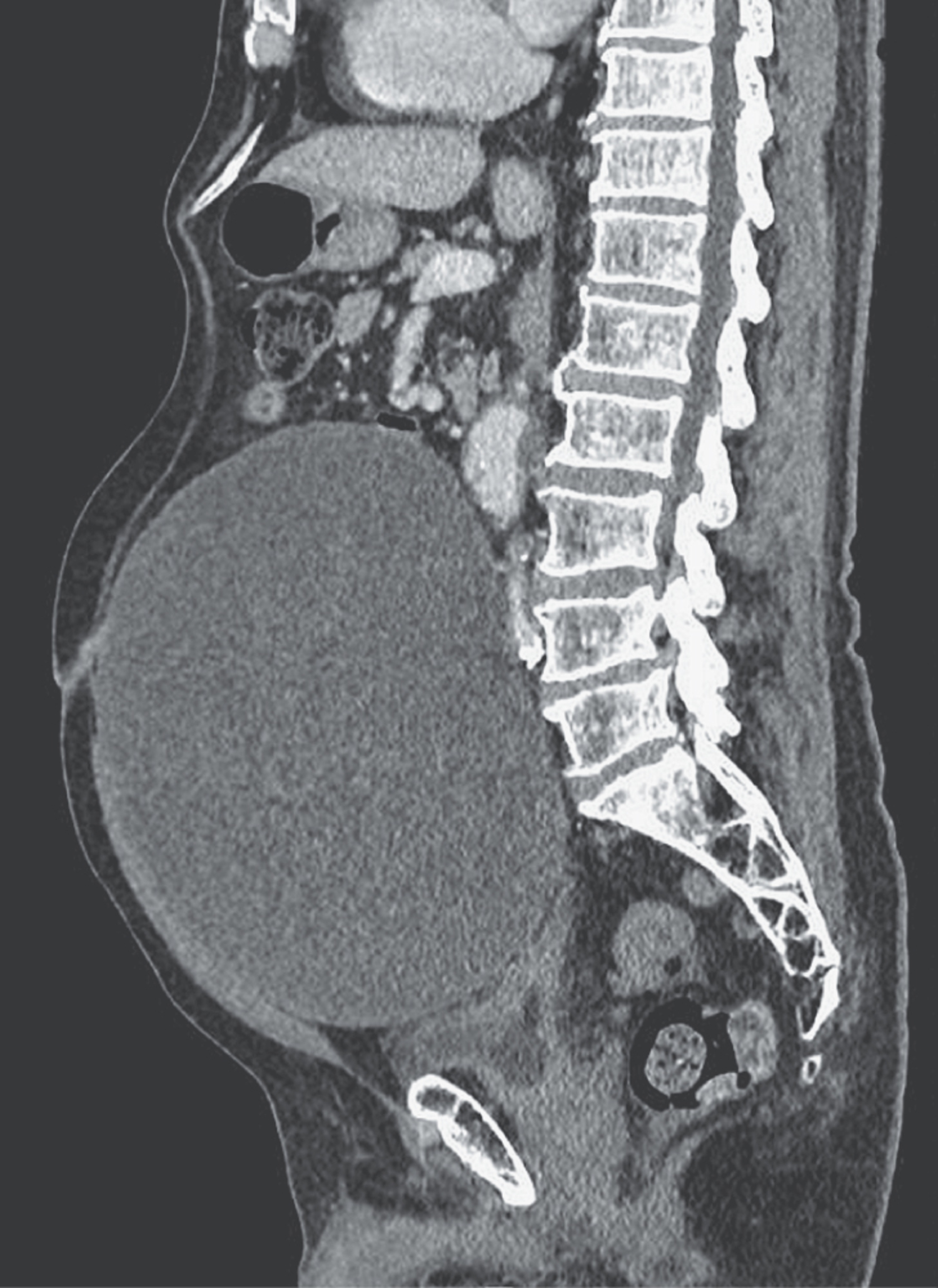 Image Challenge | The New England Journal of Medicine