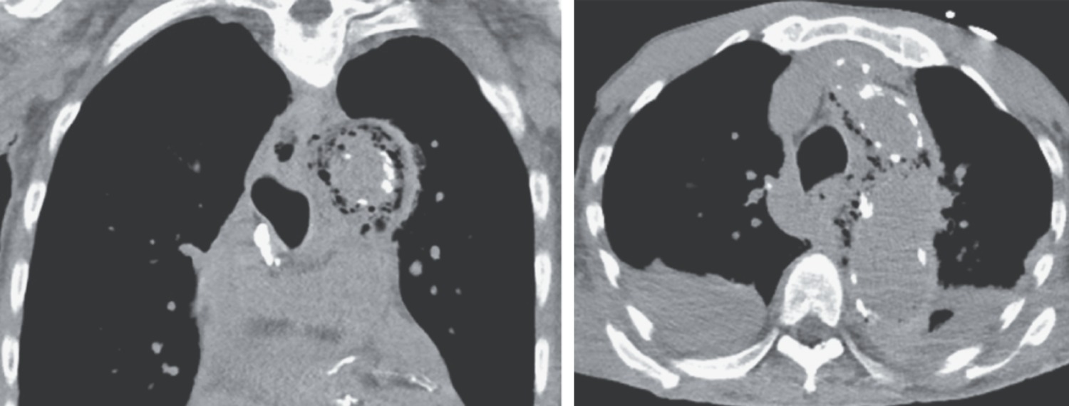 Image Challenge | The New England Journal of Medicine