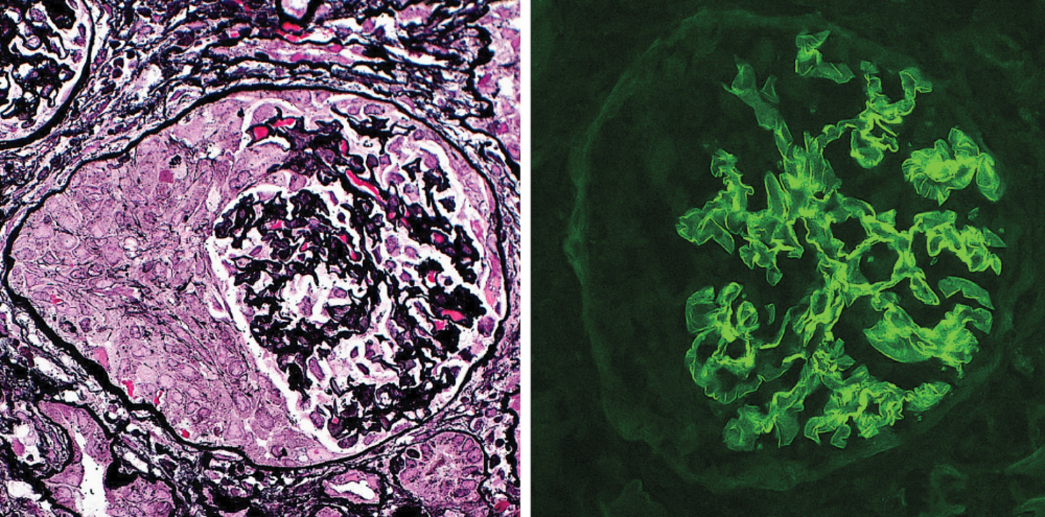 Image Challenge | The New England Journal of Medicine