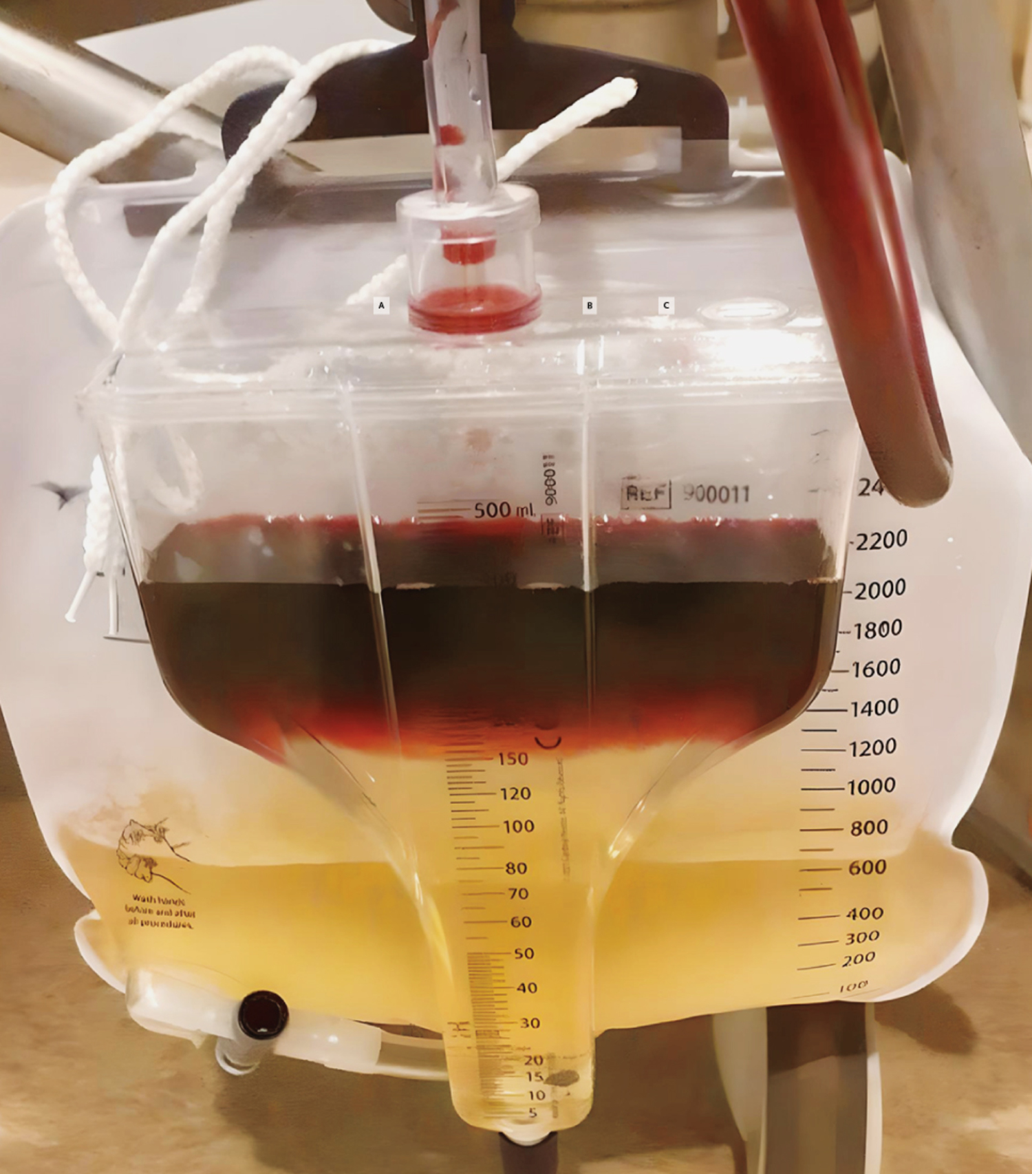 Image Challenge | The New England Journal of Medicine